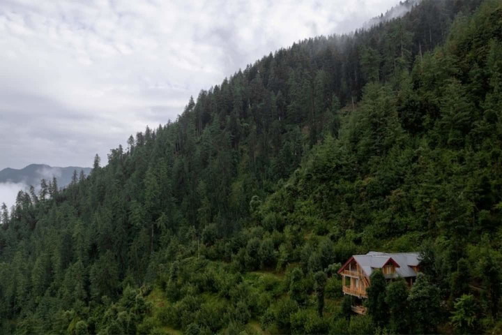 Into The Woods Eco Lodge A Hidden Forest Retreat - India