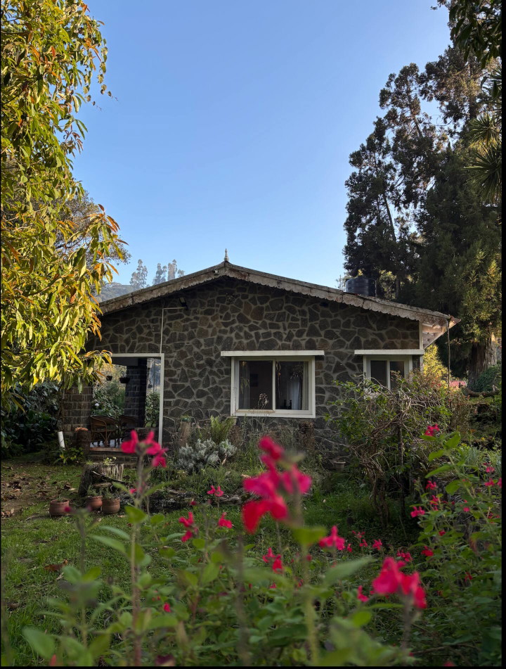 Serene Scenic Studio, By The Shola Forest -