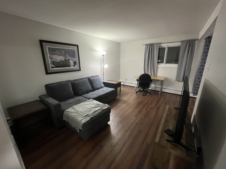 Lovely 1-bedroom Apartment W'free Plug In Parking - Lloydminster