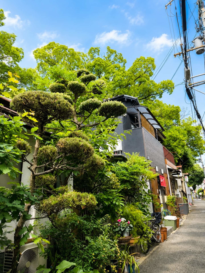 Quiet Japanese-style House 2dk|living With Tatami|near The Station, Long-term Stays Welcome - Giappone