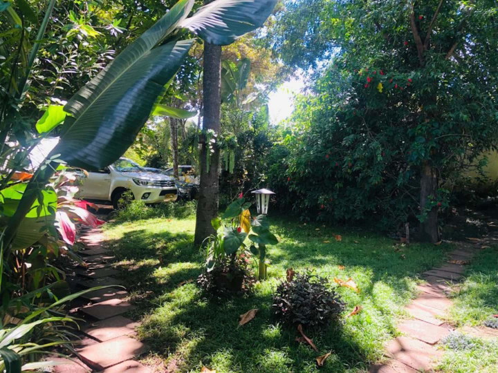 Hillcrest, Harare - Zimbabwe