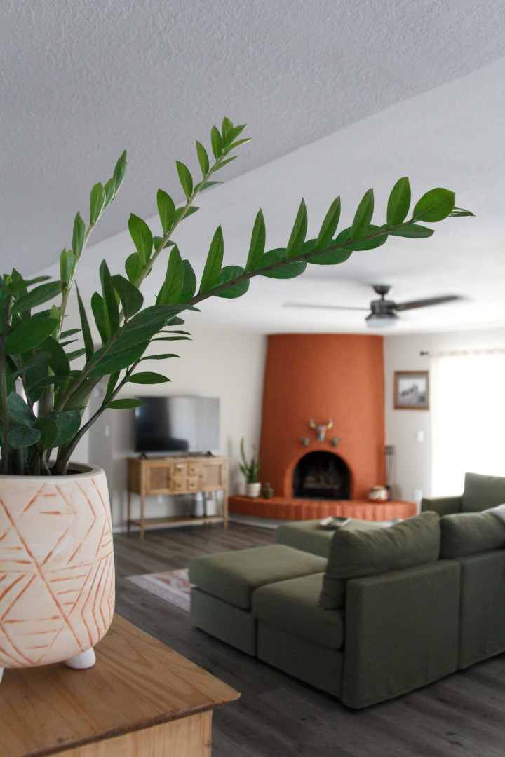 Updated Casa With Southwest Flair & Mountain Views - Tucson