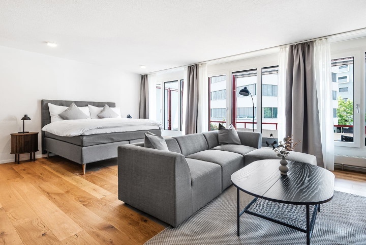 City-loft 2 (Gratis Parken, Free Parking) - Schaffhausen