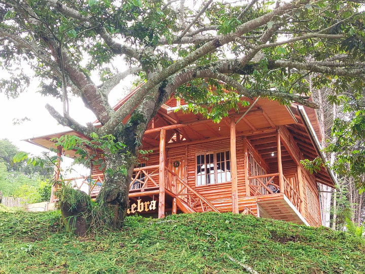 Palo Culebra Chalet - Peru