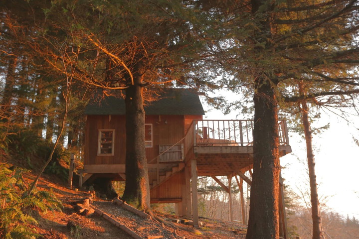 The Bluebird House - Oregon