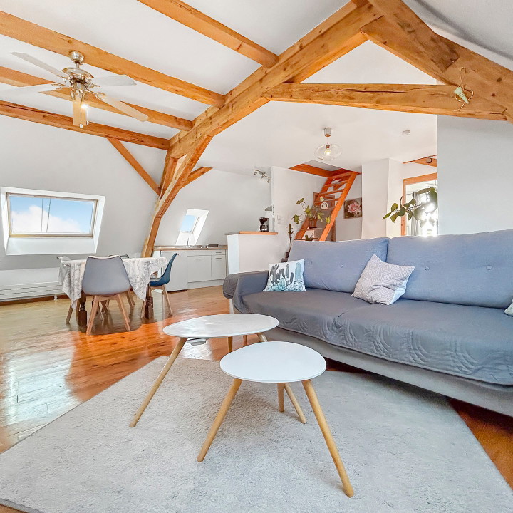 Le Cosy · Zénith 10-min Walk · Free Parking - Eckbolsheim