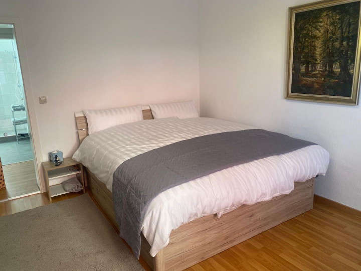 Zentrales Business Apartment - Pforzheim