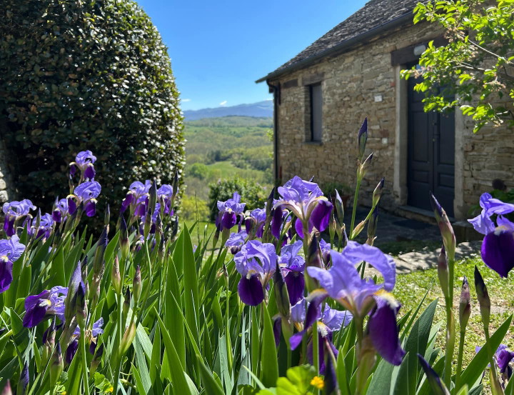 Wwf Oasis, Casa Di Judith, Gorgeous Stone House - Italia