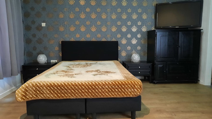 Apartment In Antwerp Belgium - Brasschaat