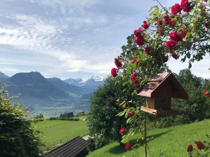 Visitez Lucerne + Interlaken, Profitez De La Vue + Du Confort - Giswil