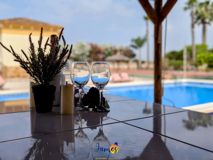Fantastic Countryside Villa With Private Pool And - Albatera