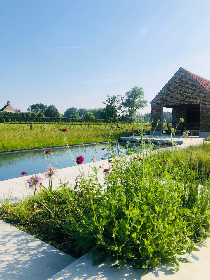Schuurloft Met Biozwembad, Veldzicht & Uilennest - Jabbeke