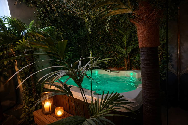 (Climatisé) La Chambre Jungle - Cinéma Et Jacuzzi - Bordeaux