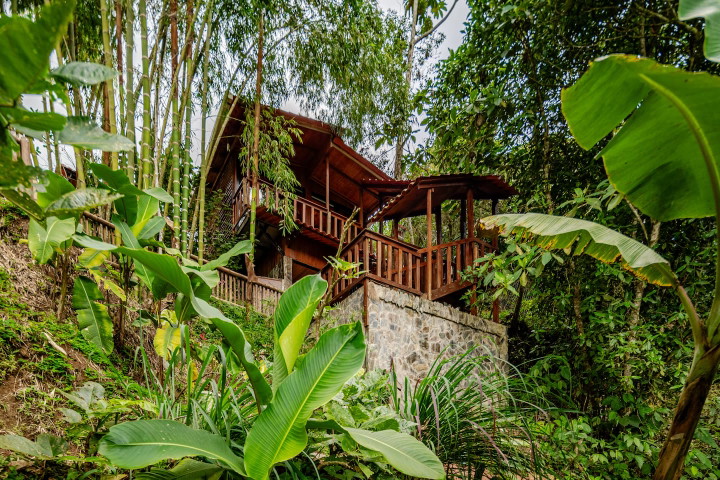 Birds Cabin - Mantoverde Ecolodge - Marsella