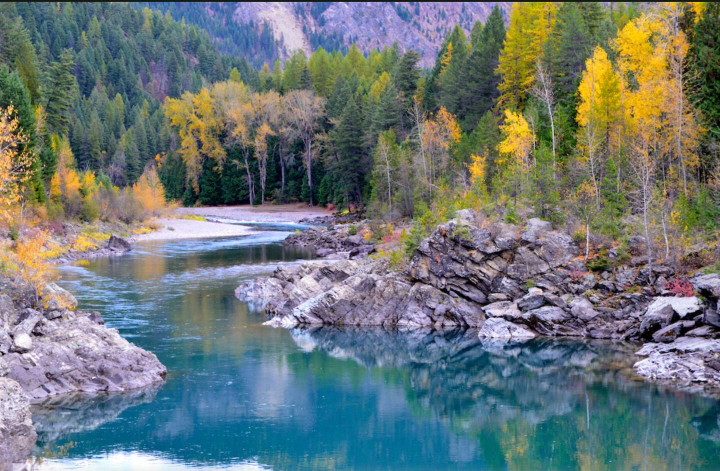 Riverfront Home, In The Heart Of West Glacier! - West Glacier, MT