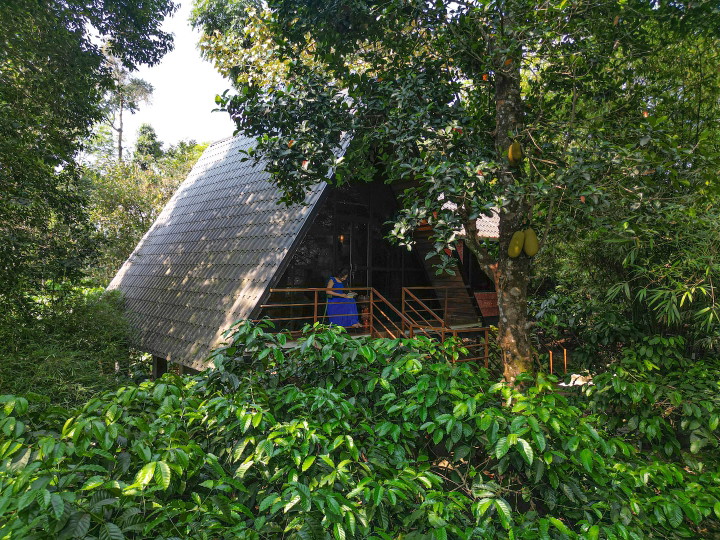 Bourbon 2br Family Cottage | Coffee Estate Stay - Kerala
