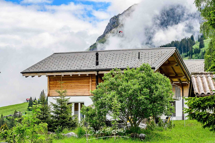 Chalet Baerehoehli On The Axalp - Brienz