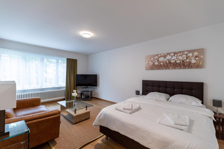 Amazing Studio (37 Sqm) City Center/enge (Wille 4) - Zürich