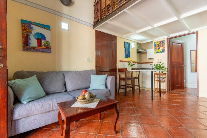 Comfortable Central Studio Apartment - Dominican Republic