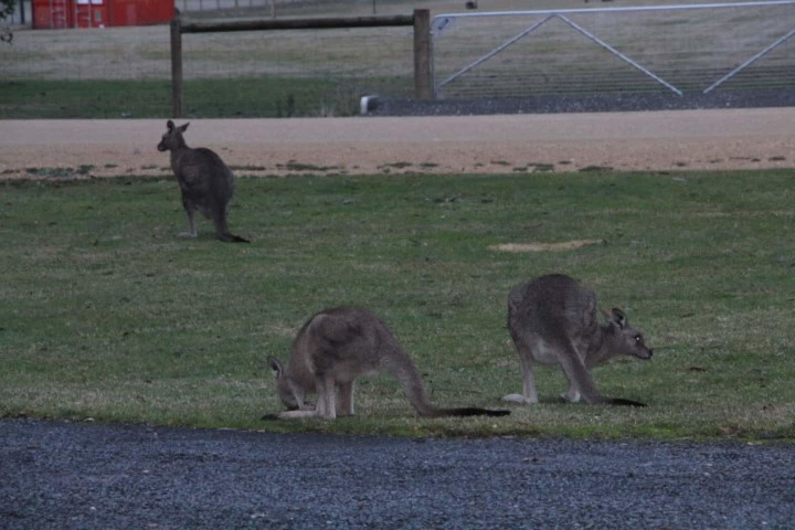 Turners Retreat - Trentham