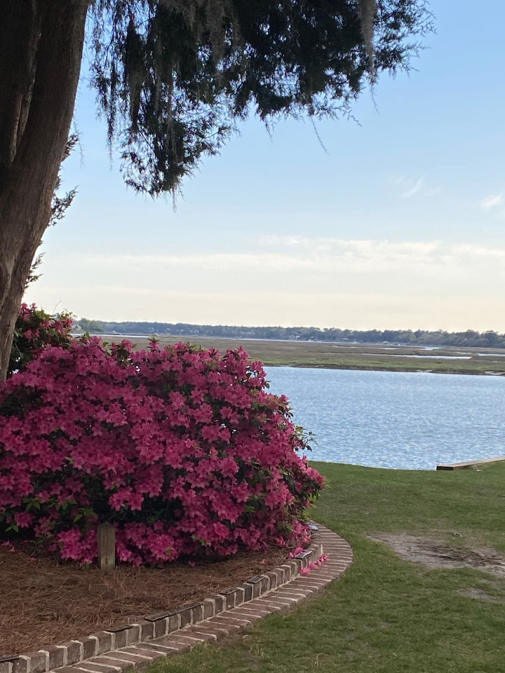 Rustic 2 Bedroom Cottage With Dock - Bluffton, SC
