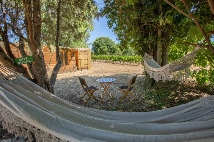Cabane Des Vignes - Cotignac