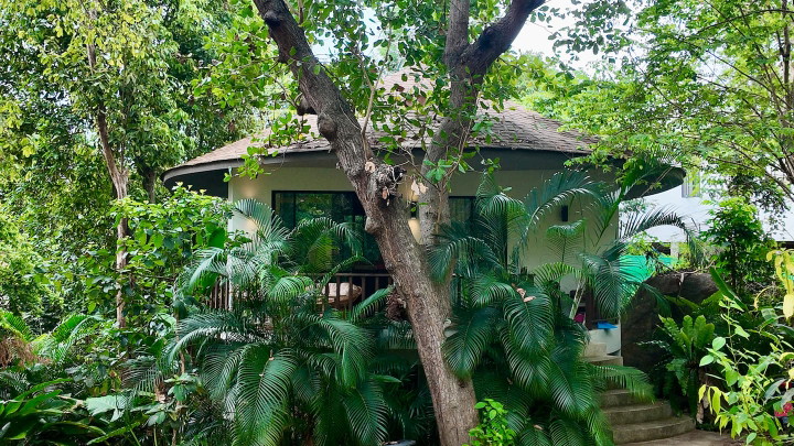 Cozy Jungle Nest - Tailandia