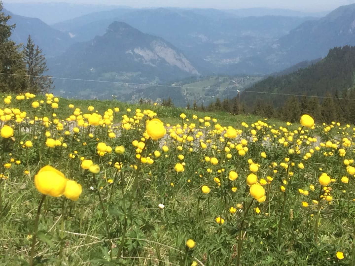 Appartement Au Cœur De La Montagne - Haute-Savoie