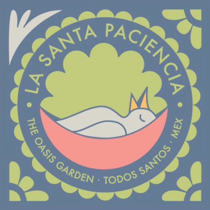 Holy Patience - Todos Santos