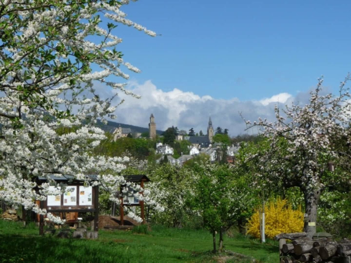 2-room Flat, Kronberg, 1-4 Pers.,15km To Frankfurt - Francfort-sur-le-Main