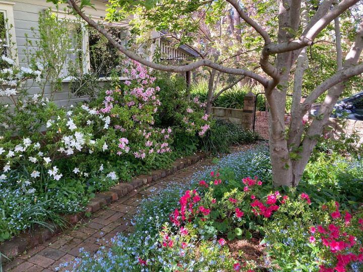 The Garden Nook - Wentworth Falls