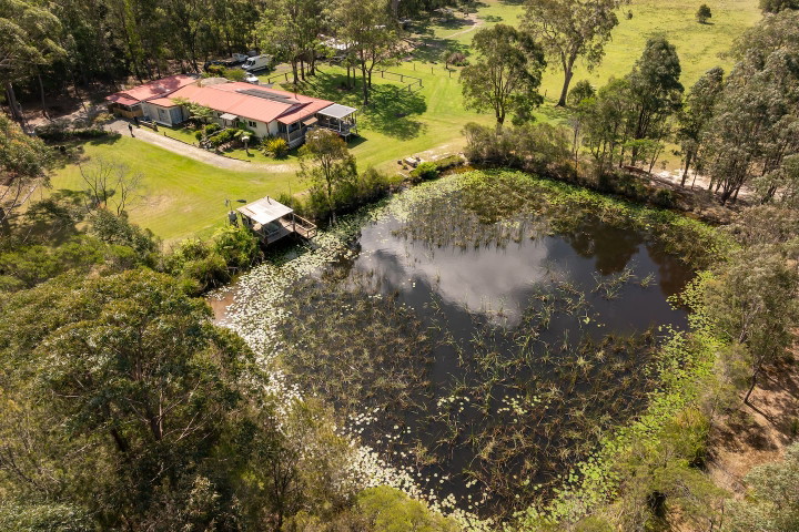 Tranquil Hollow Cottage - South Coast