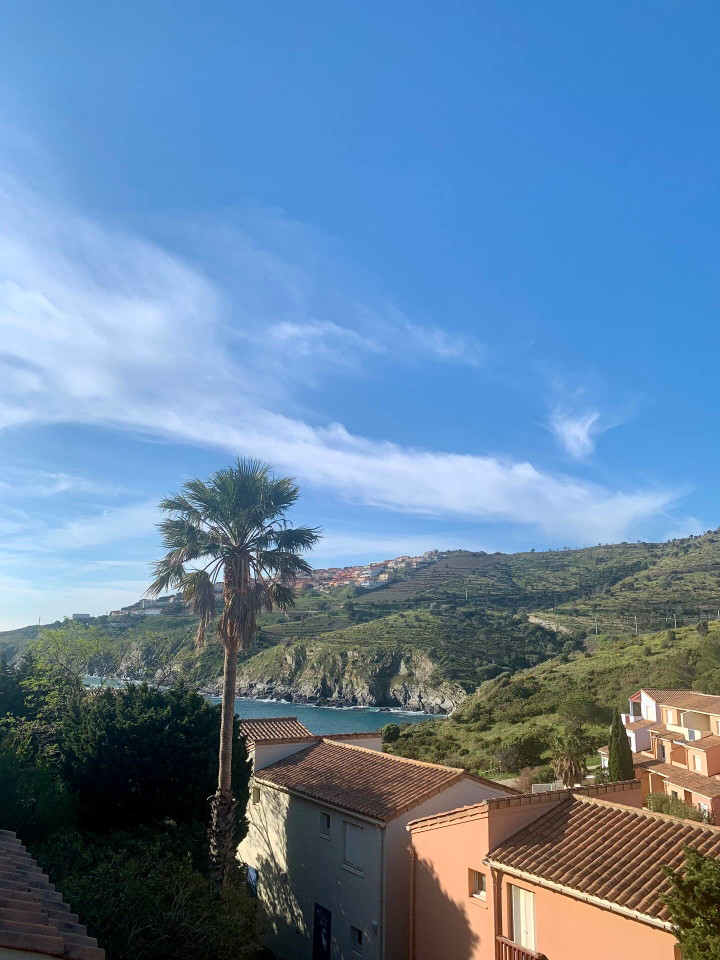 Appartement Vue Mer 2/4p Climatisé - Plage De Cerbère