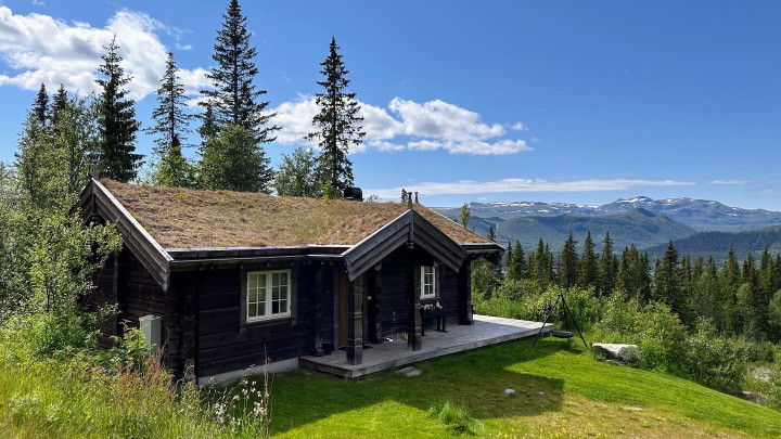 Liaplassen Mountain Cabin - Beito - Norvège