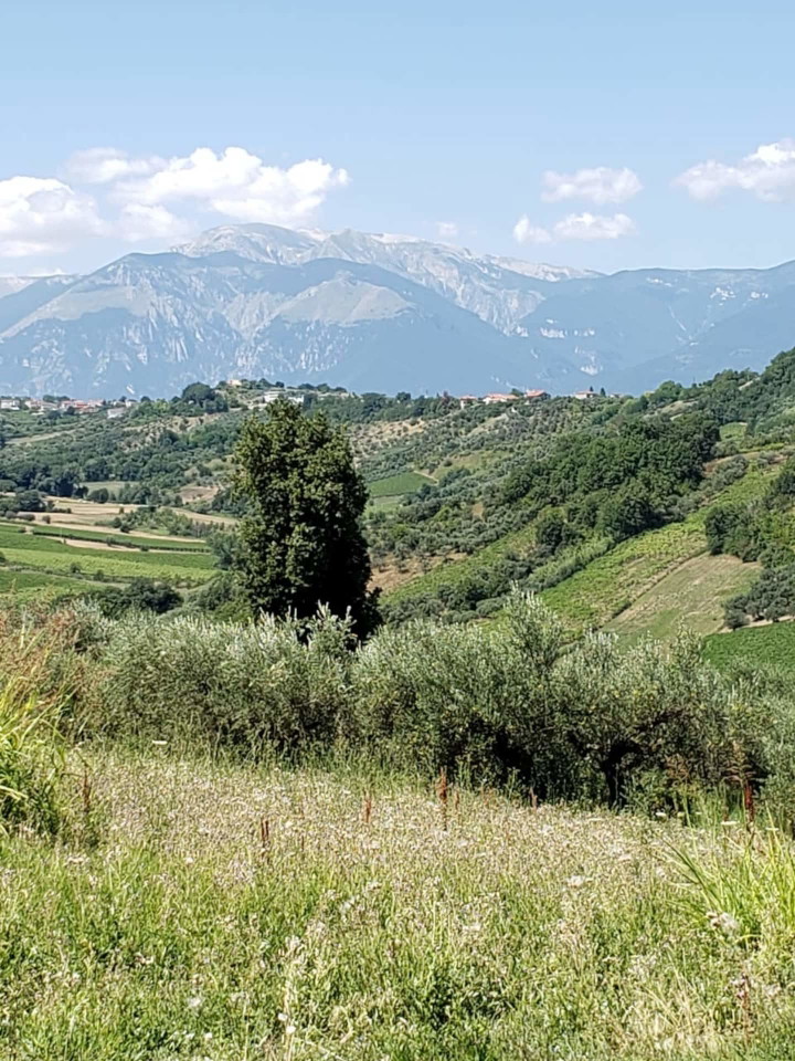 Masseria S. Maria Dei Mesi: Relaxation Between The Sea And The Mountains - Abruzzo