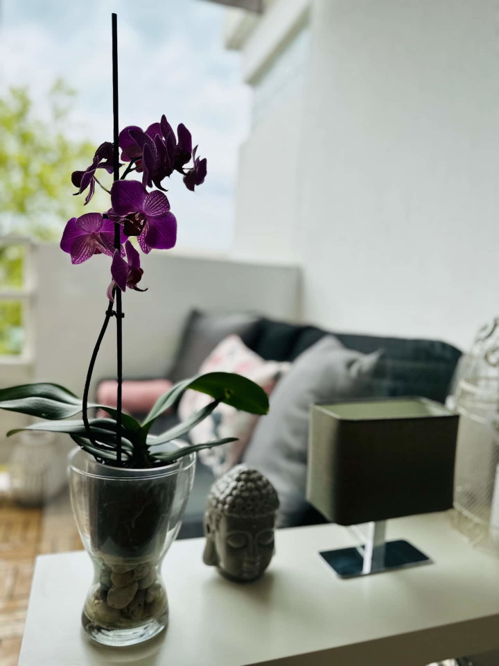 Stylvia Apartment - Tihany