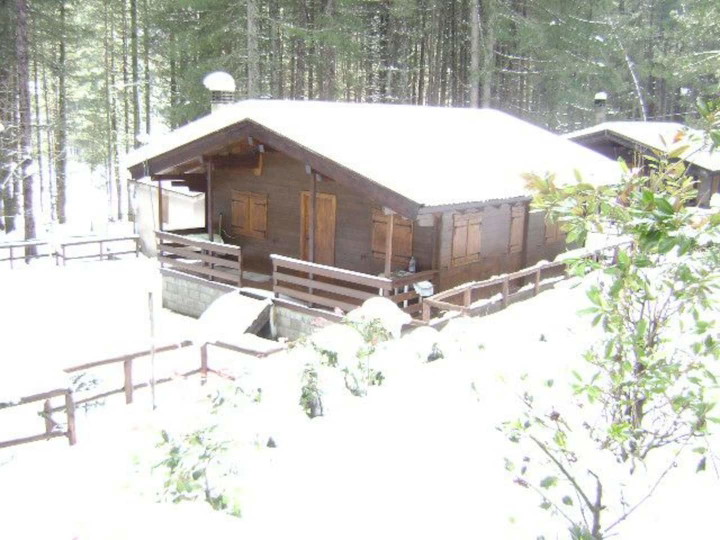 Baita/chalet Del  Bosco,camigliatello Silano,parco - Camigliatello Silano