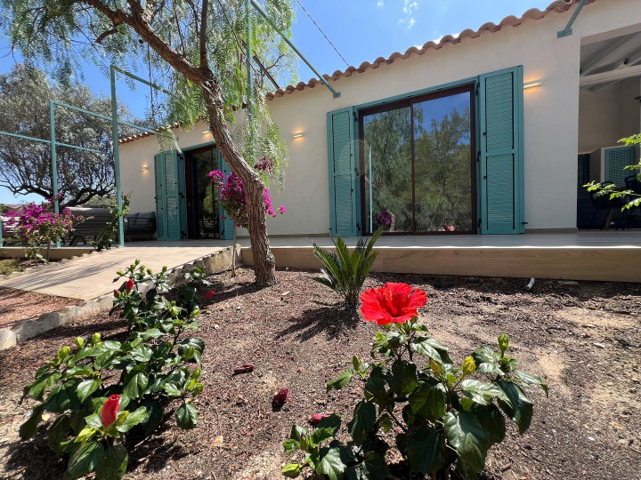 Casita Hibisco - Elda - Elda