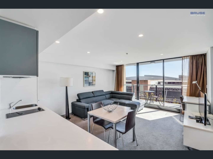 Swainson At Horizons - Adelaide
