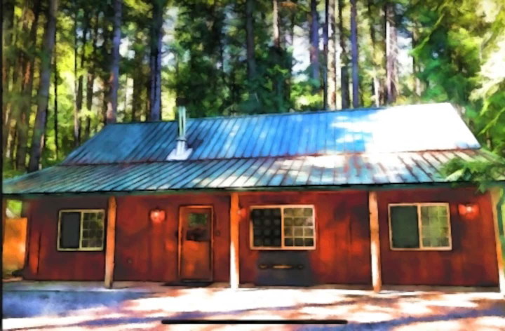 Das Waldhaus: Tranquil Forest Retreat | Hot Tub | Dog-friendly - State of Washington