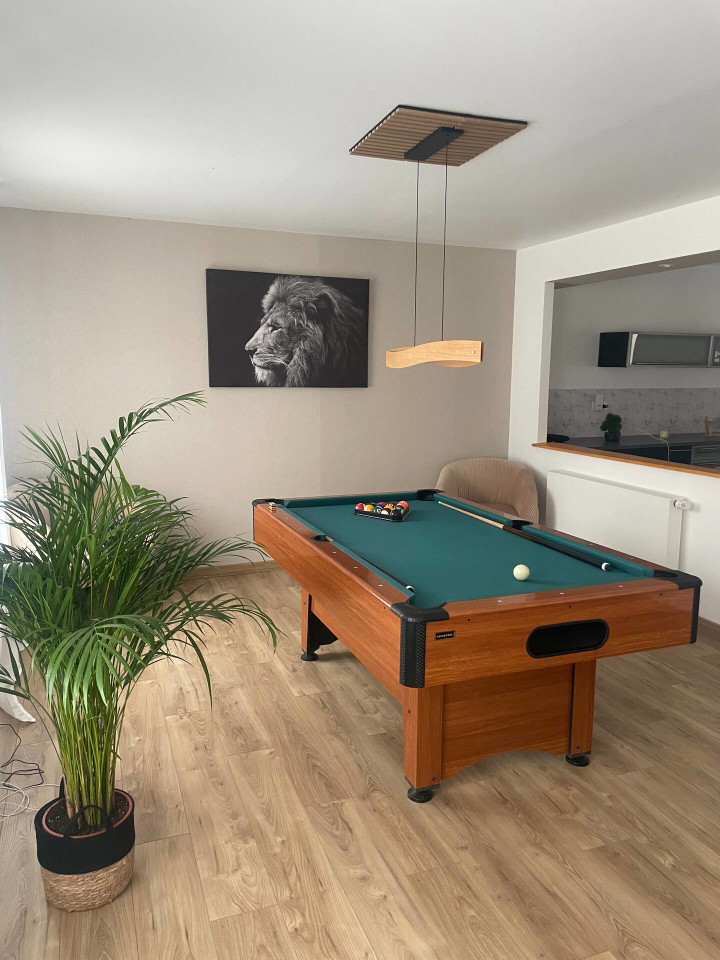 Elegant Apartment With Terrace - Alsace