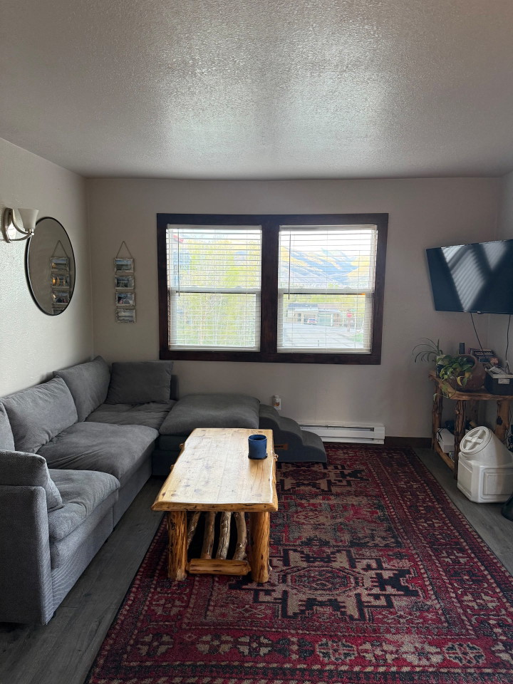 Pet Friendly Cozy Condo - Silverthorne, CO