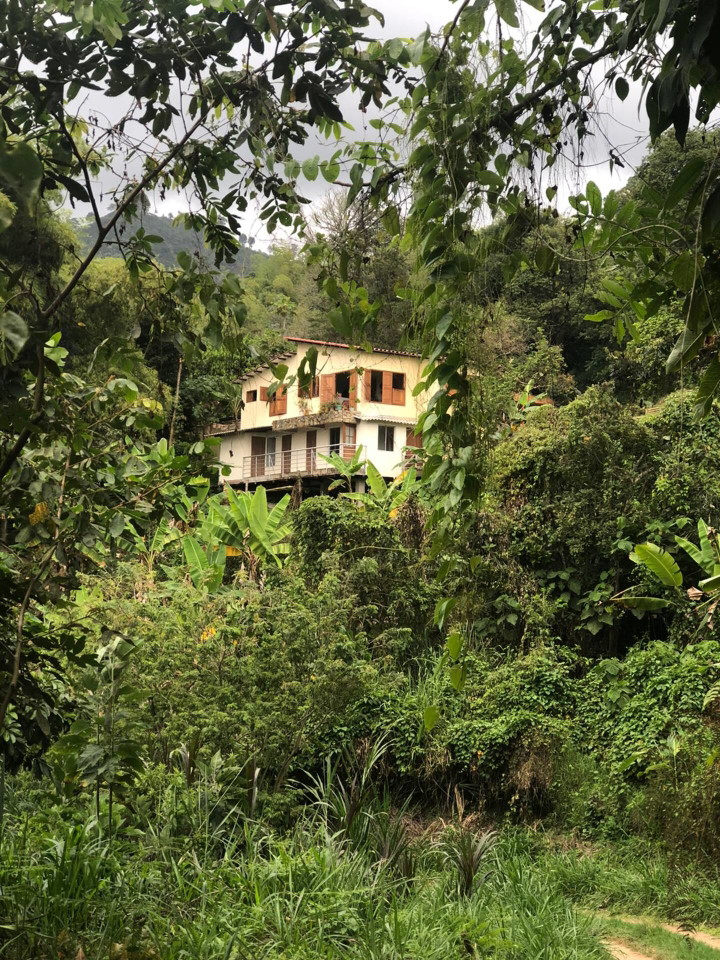 Casa Picaflores - Birds & Coffee. - Buenavista