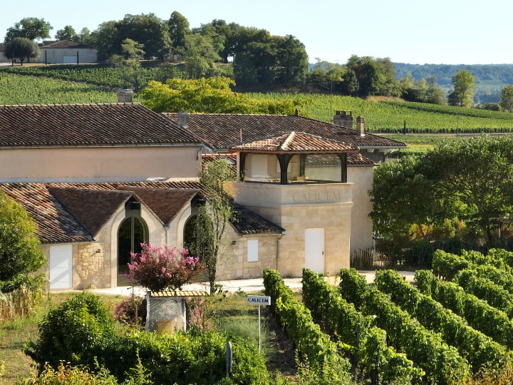 Le Logis De Colette - Saint-Émilion