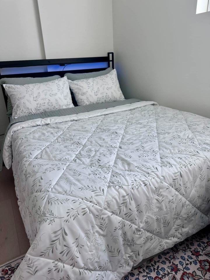 University Hgts Cozy Private Studio - Prince George