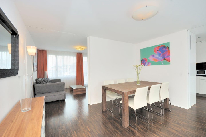 Stylish 1br Near Lake And Opera (Flower 52) - Zurich, Switzerland