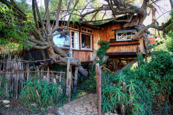 Tree House - South Africa