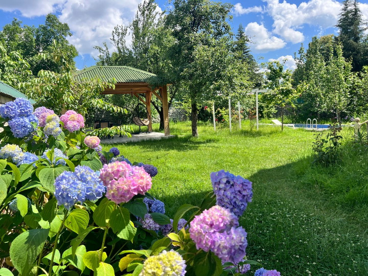Gabala Mountain View Villa - Azerbaiyán