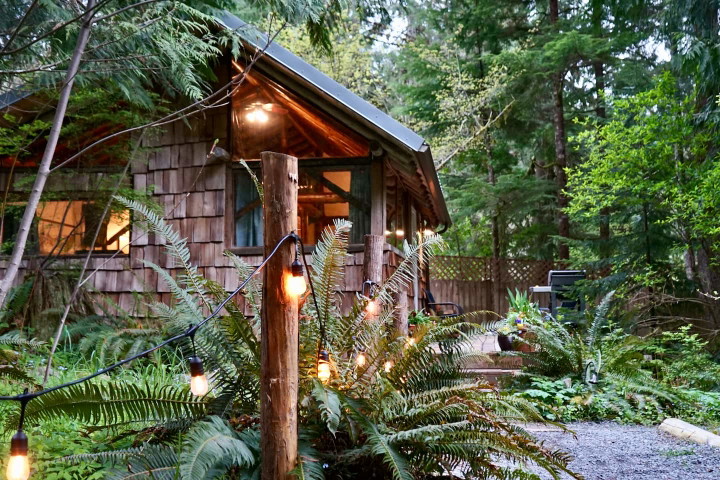 Altimeter Cabin - Sherpa Cabin - 애쉬포드