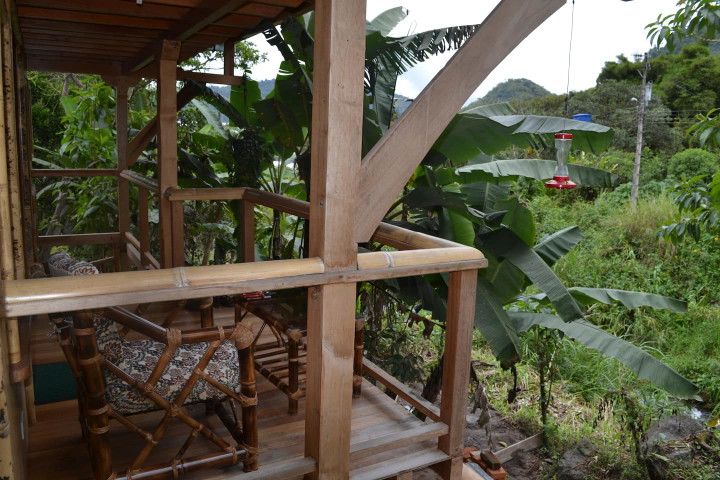 Gorgeous Riverside Tree House - 2 Min Walk To Town - Mindo Valley